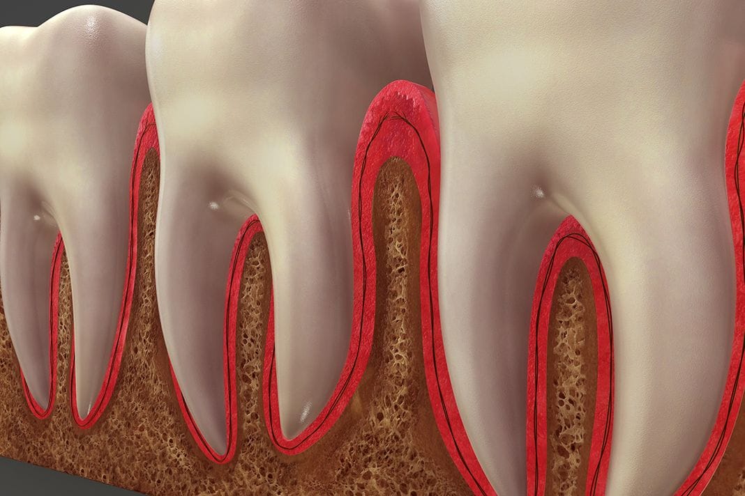 Stem Cells Can Now Be Harvested from Tooth Root Pulp - Today's RDH