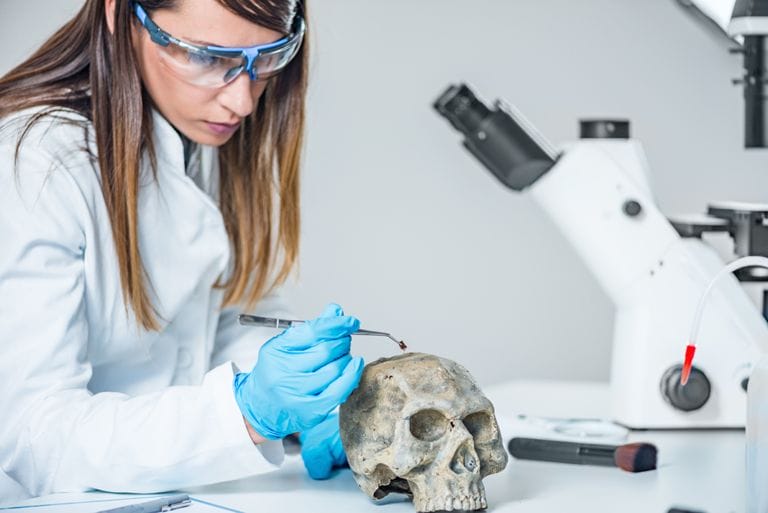 A Look at Forensic Dentistry & How Teeth Are Used to Identify a Person ...