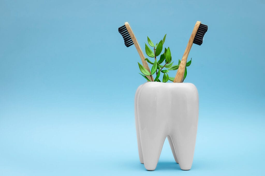 Dentistry's Waste: Six Ways Dental Offices Can Protect the Environment ...